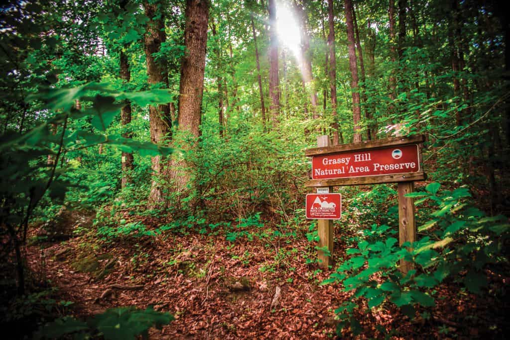 Smith Mountain Lake Hiking: Insider's Guide (2026) - Parks & Trails